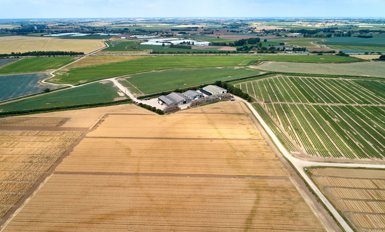 Bridge Farms | the deep dive