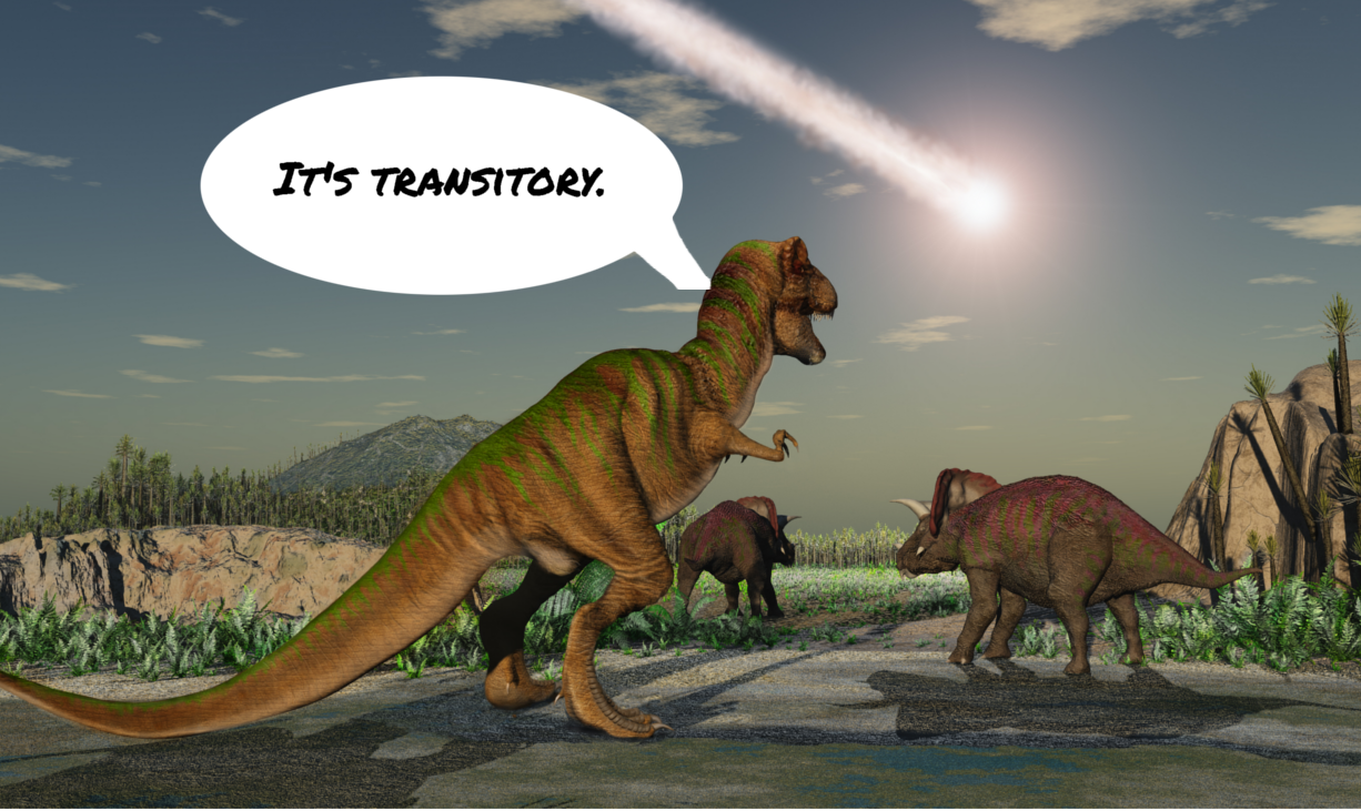 TransitoryMeme | the deep dive