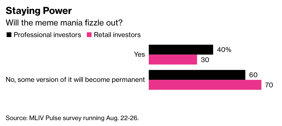 Bloomberg-MLIV-Pulse-Survey-Meme-Stocks | the deep dive