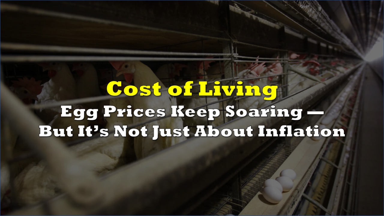 Egg Prices Keep Soaring — But It’s Not Just About Inflation | the deep dive