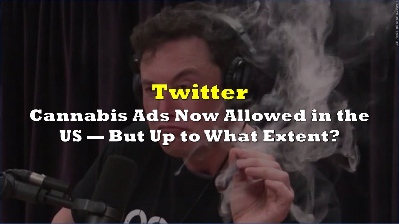 Twitter Is Now Allowing Cannabis Ads in the US — But To What Extent ...