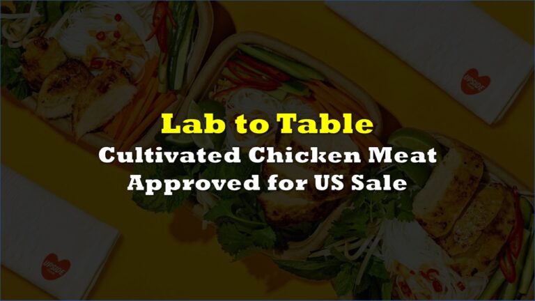 From Lab to Table: Cultivated Chicken Meat Approved for US Sale | the ...