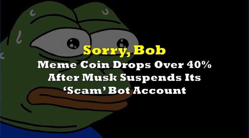 Sorry, Bob: Meme Coin Drops Over 40% After Musk Suspends Its ‘Scam’ Bot ...