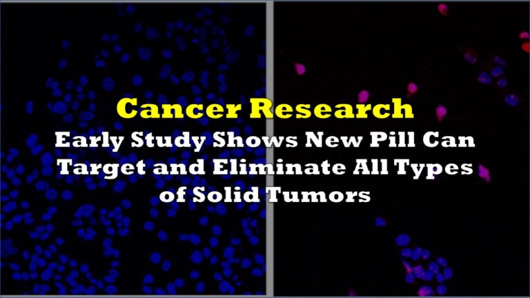 Early Study Shows New Cancer-Killing Pill Can Target and Eliminate All ...