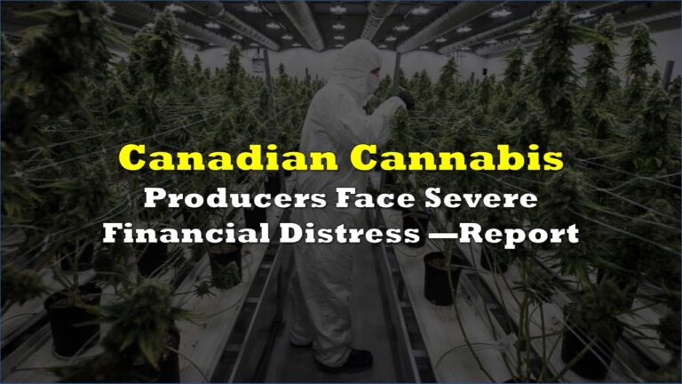 Canadian Cannabis Producers Face Severe Financial Distress —Report ...