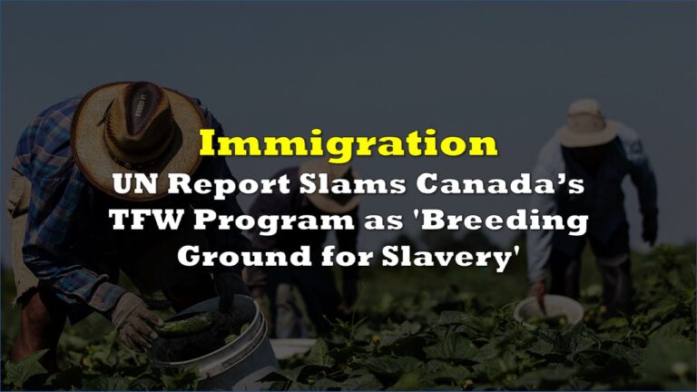 UN Report Slams Canada's Temporary Foreign Worker Program as 'Breeding ...