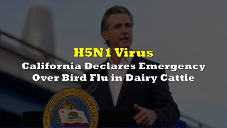 California Declares Emergency Over Bird Flu in Dairy Cattle | the deep dive