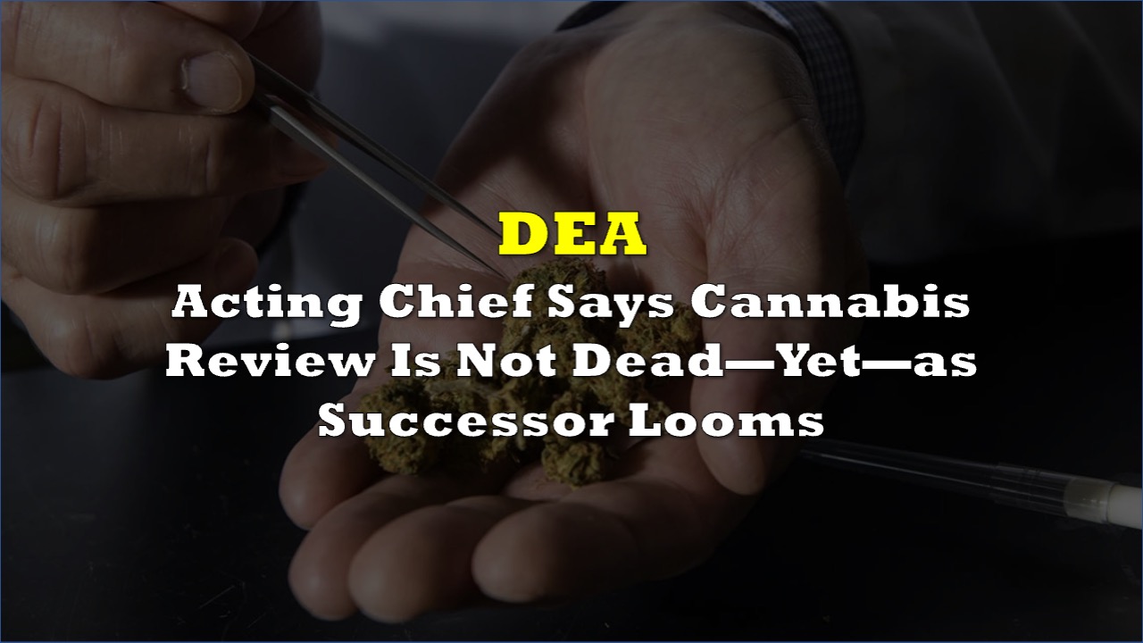 Acting DEA Chief Says Cannabis Review Is Not Dead—Yet—as Successor ...