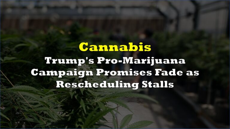 Trump's Pro-Marijuana Campaign Promises Fade as Rescheduling Stalls | the deep dive