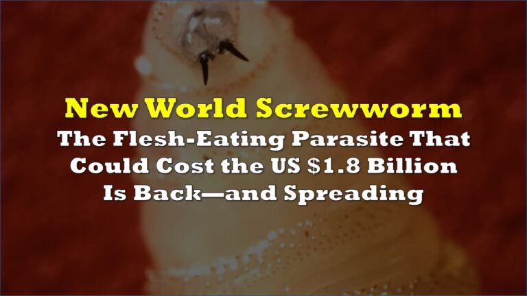 The Flesh-Eating Parasite That Could Cost the US $1.8 Billion Is Back ...